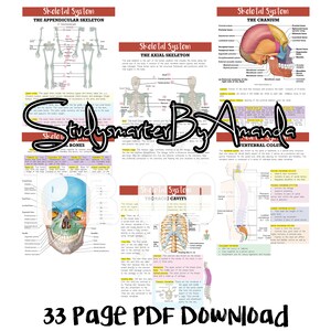 Skeletal System Medical Terminology - Etsy