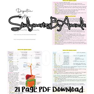 Digestive System Medical Terminology - Etsy