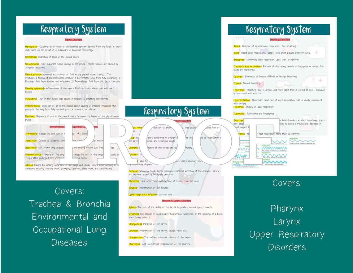 Respiratory System Medical Terminology - Etsy