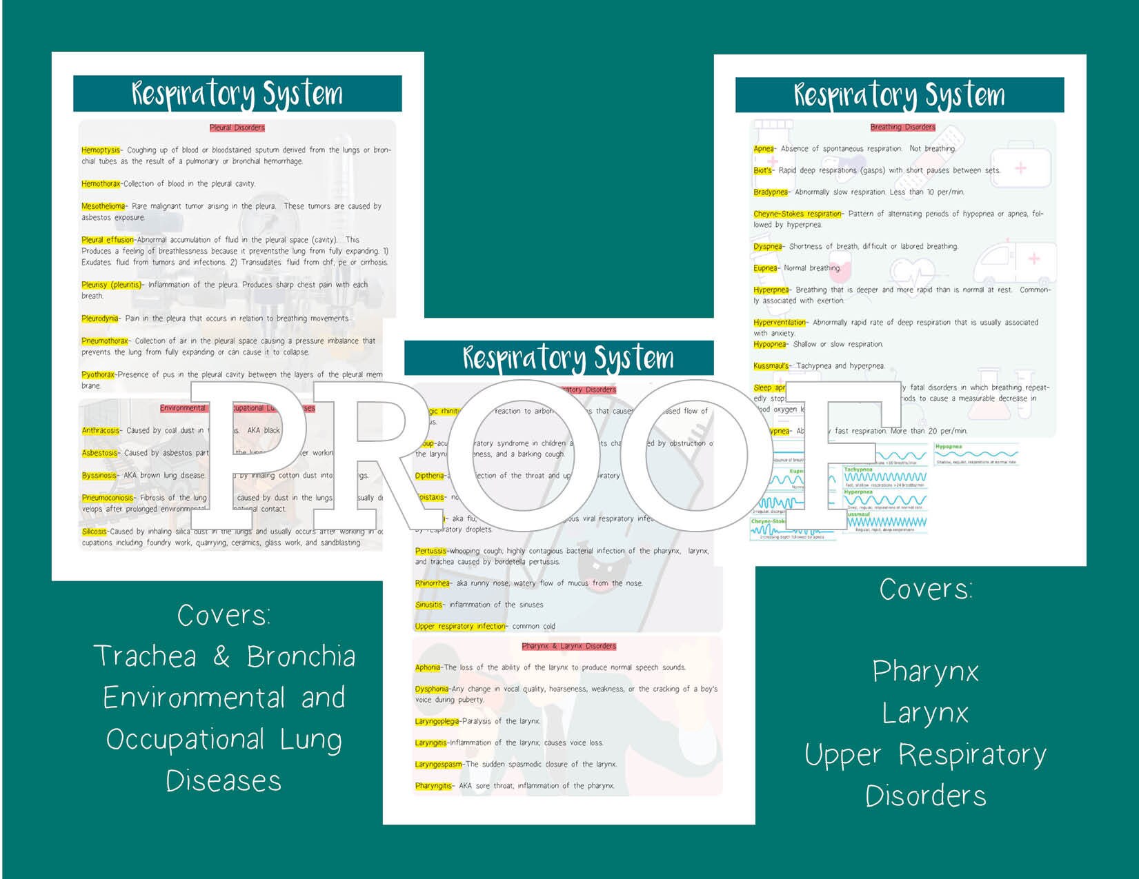 Respiratory System Medical Terminology - Etsy