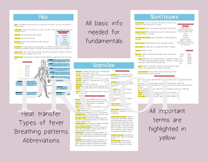 Vital Signs Nursing Notes - Etsy