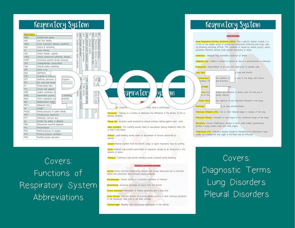 Respiratory System Medical Terminology - Etsy