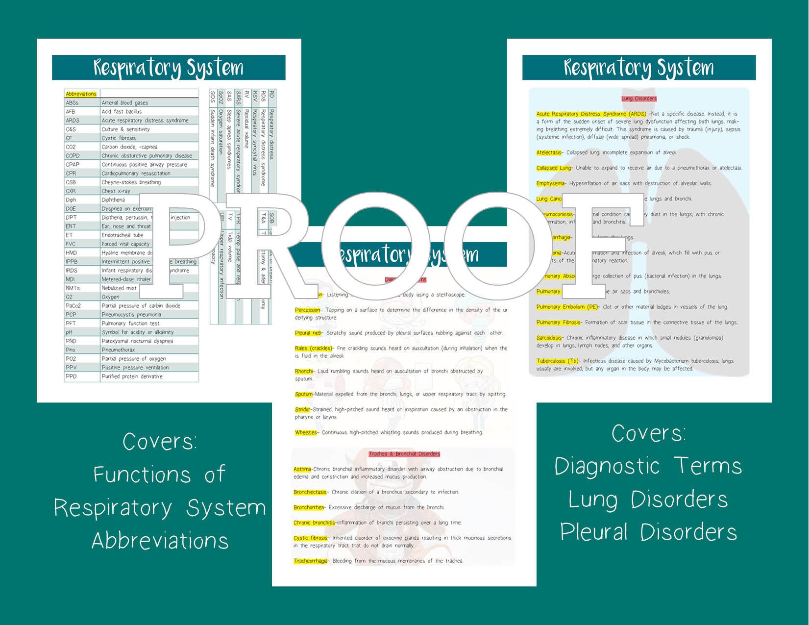 Respiratory System Medical Terminology - Etsy