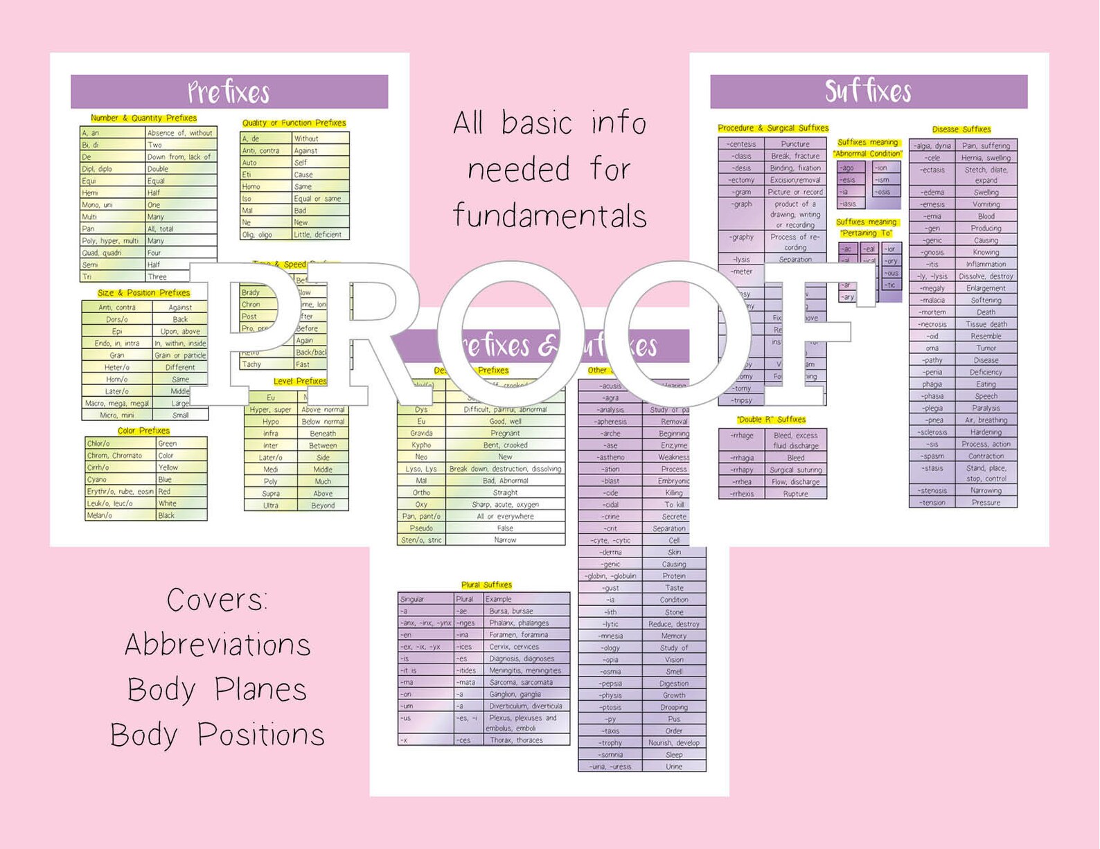 Intro to Medical Terminology Nursing Notes - Etsy