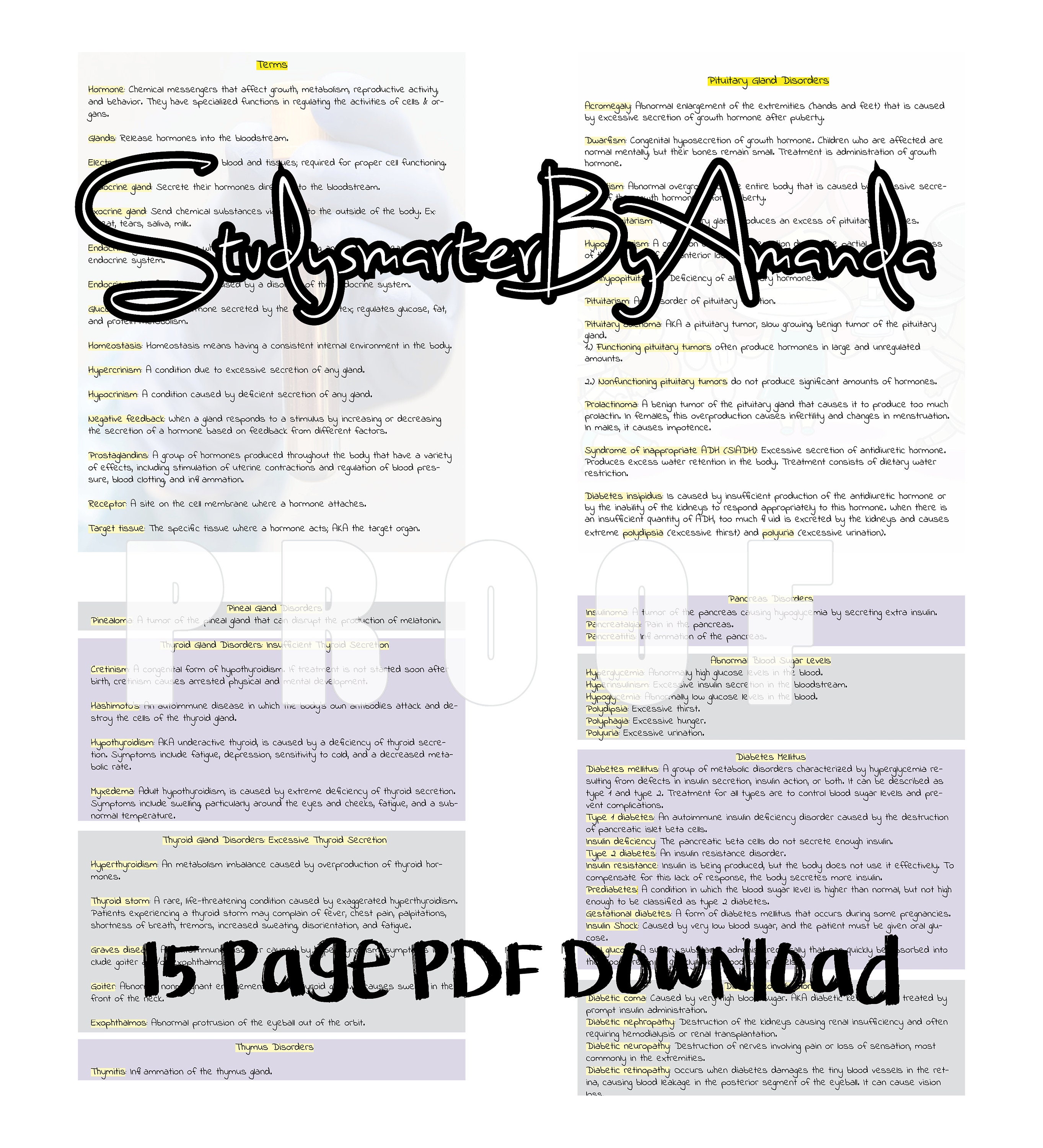 Endocrine System Medical Terminology - Etsy