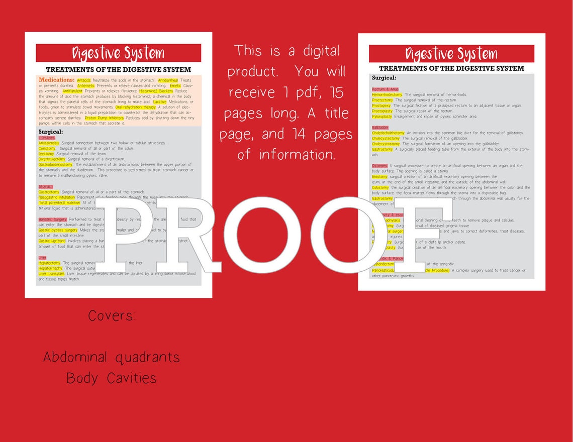 Digestive System Medical Terminology - Etsy