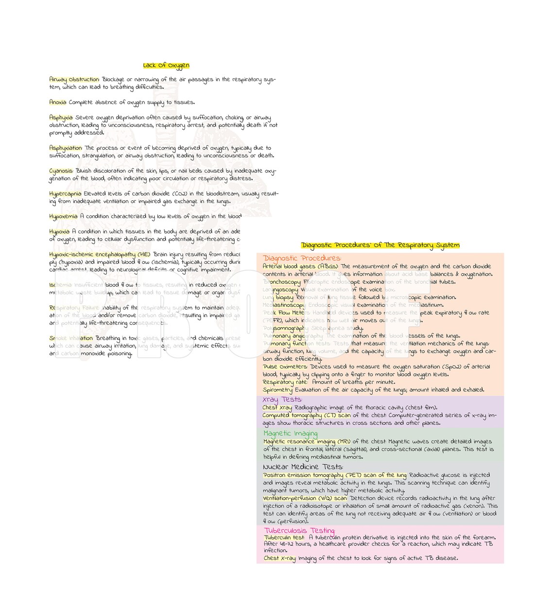 Respiratory System Medical Terminology - Etsy