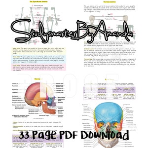 Skeletal System Medical Terminology - Etsy