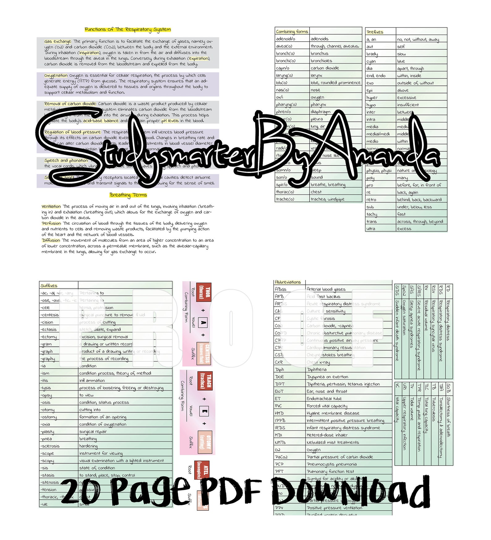 Respiratory System Medical Terminology - Etsy