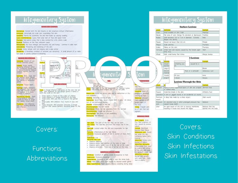 Integumentary System Medical Terminology - Etsy