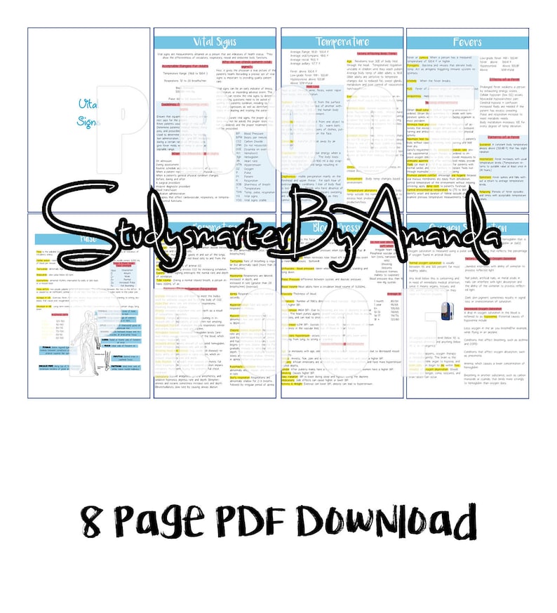 Vital Signs Nursing Notes - Etsy
