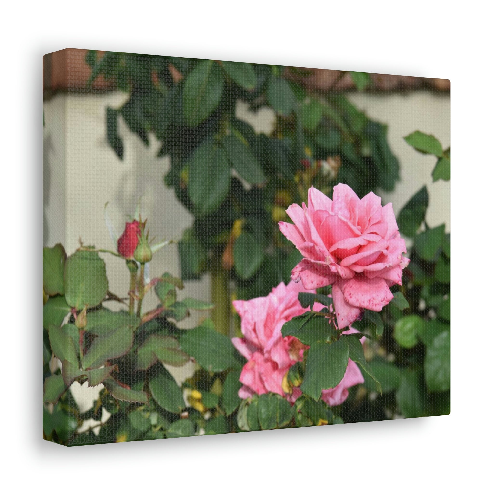 Pink Rose Bush Canvas Wall Print Unframed Rose Bush Wall - Etsy