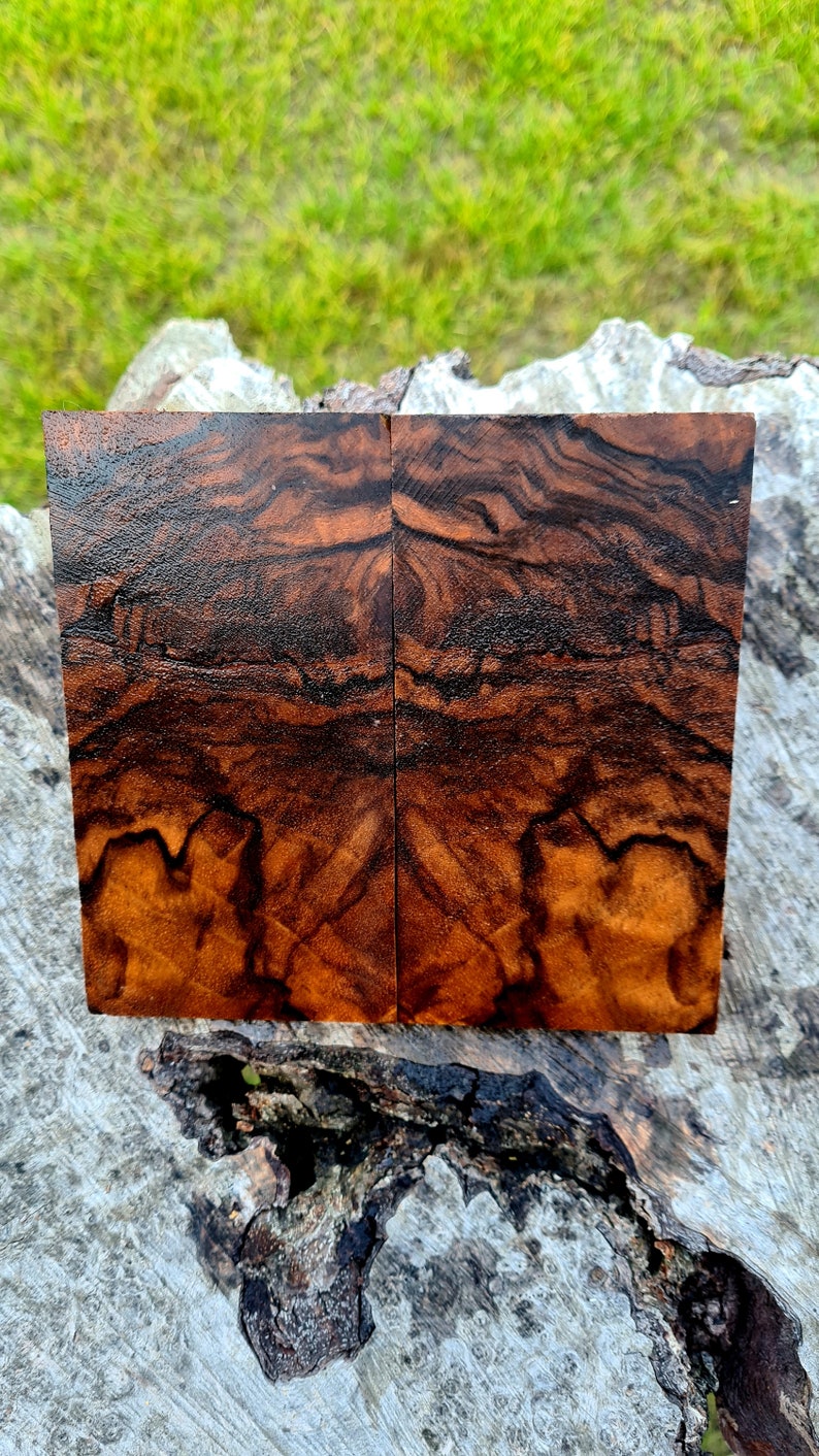 Turkish Walnut Burl High Figured Walnut Knife Maker Gift - Etsy