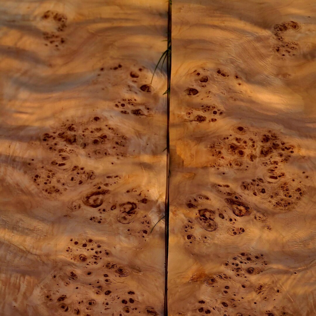 Wood Veneer, Flamed Poplar Burl, Kingsize, 11 Pieces Valentine's Day ...