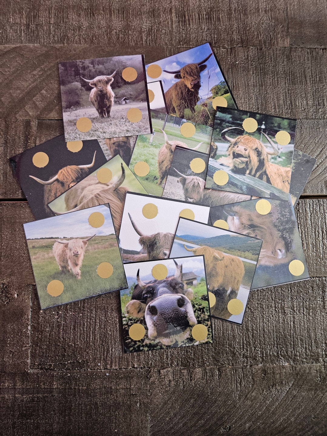 14 Cow Mystery Scratch off Cards - Etsy
