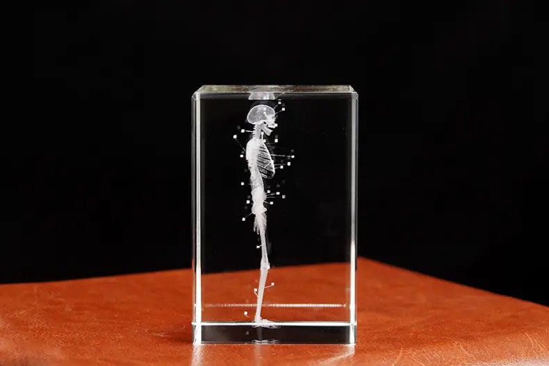 3D Skeleton Crystal Paperweight - Etsy