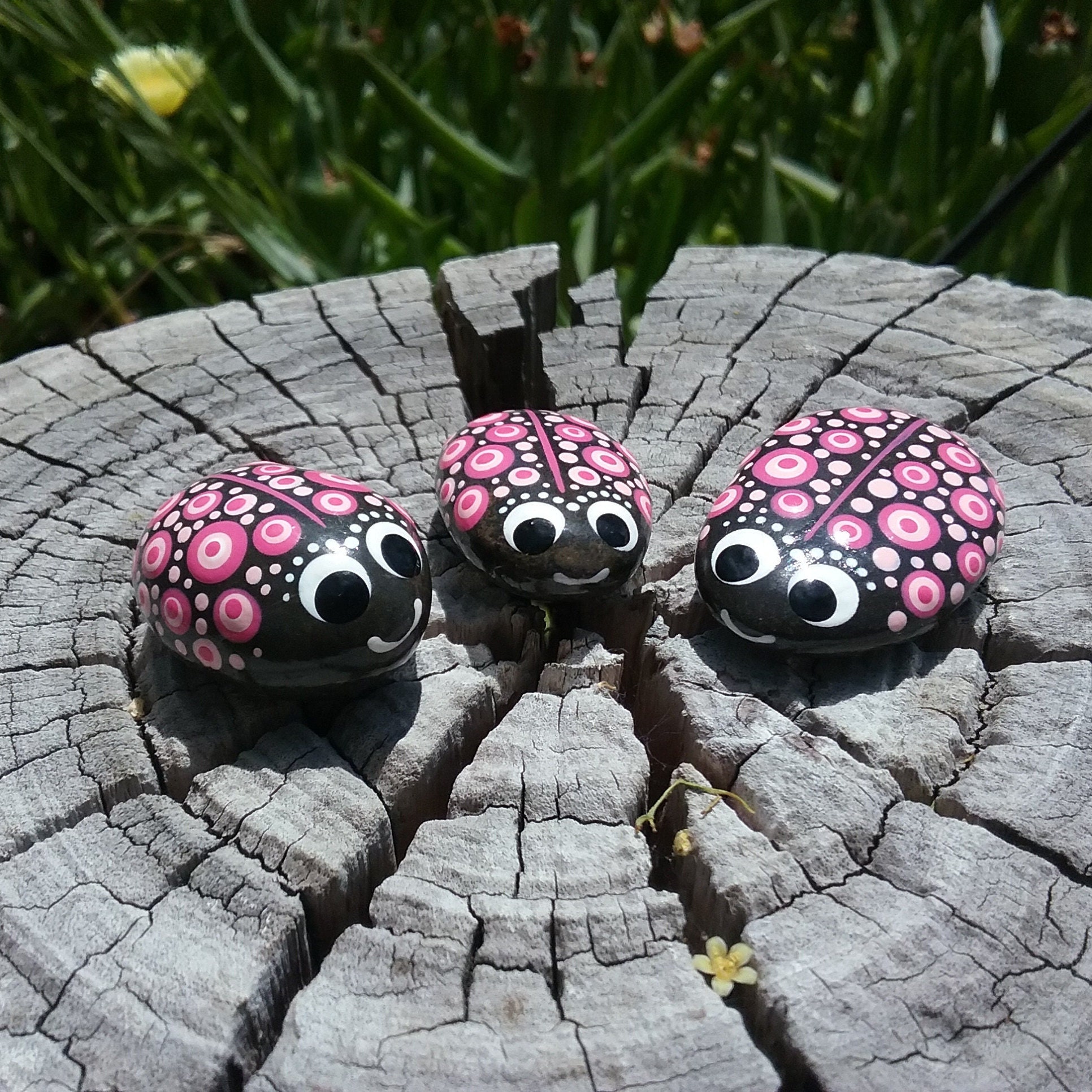 Set of 3 Ladybug Rocks-painted Rocks-pet Rocks-fairy Garden-small Gift ...