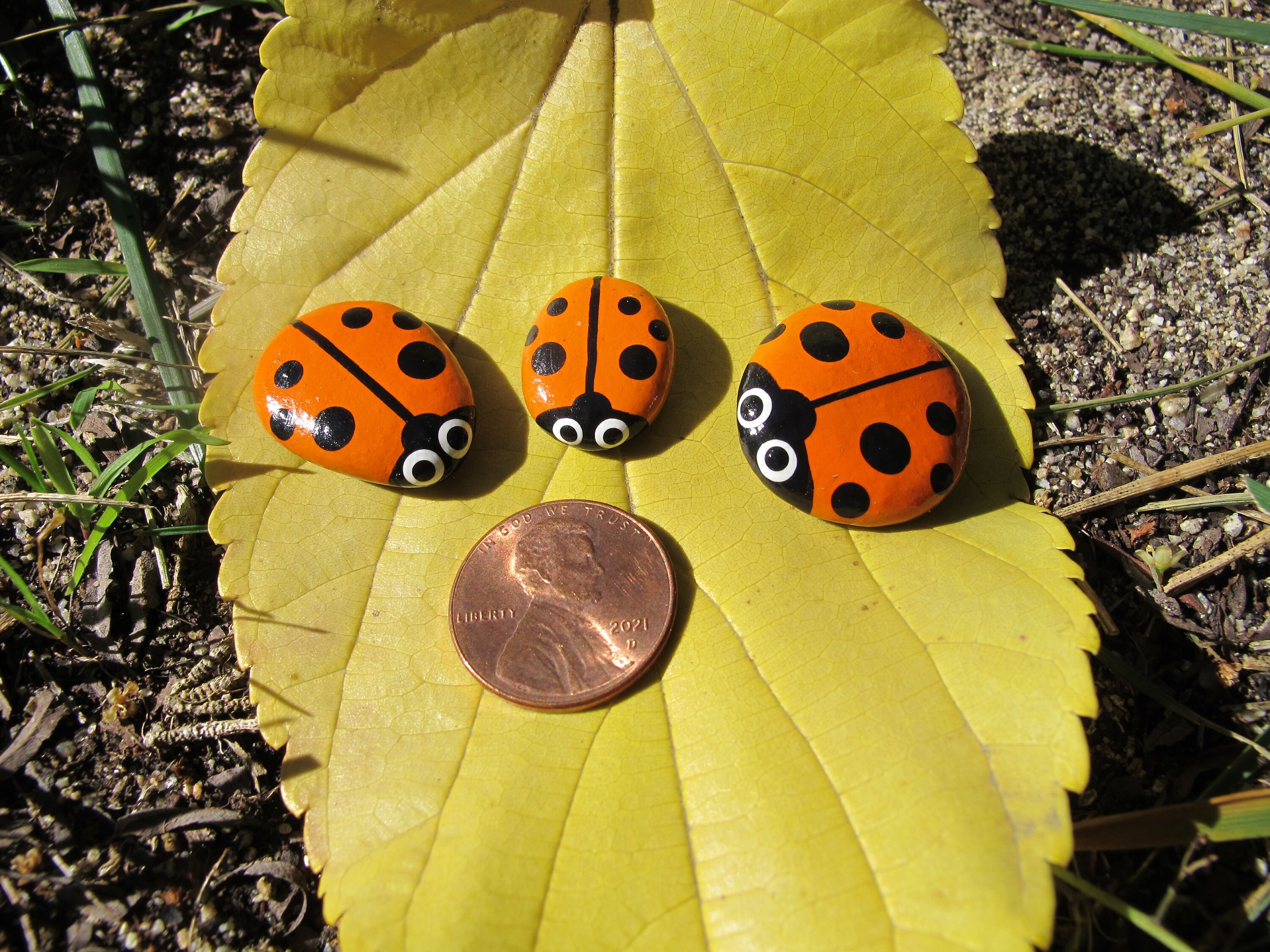 Set of 3 Ladybug Rocks-painted Rocks-pet Rocks-fairy Garden-small Gift ...
