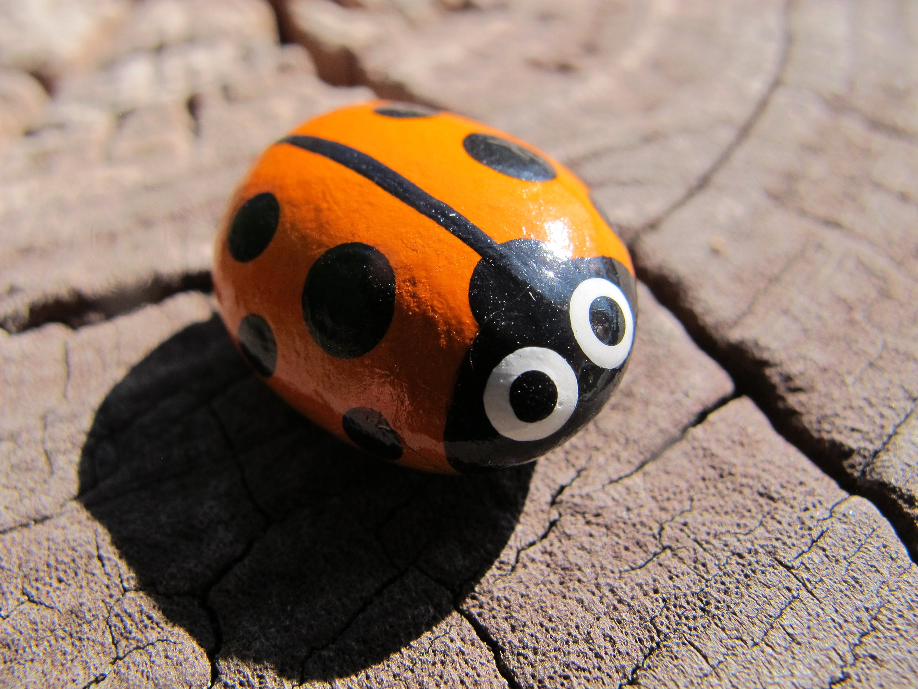 Set of 3 Ladybug Rocks-painted Rocks-pet Rocks-fairy Garden-small Gift ...