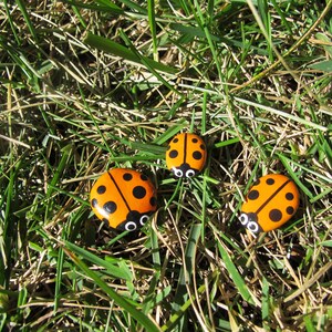 Set of 3 Ladybug Rocks-painted Rocks-pet Rocks-fairy Garden-small Gift ...