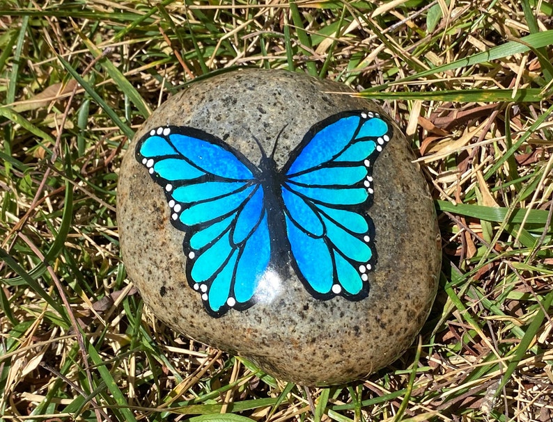 Butterfly Rock Blue Butterfly Hand Painted Rock Desk - Etsy