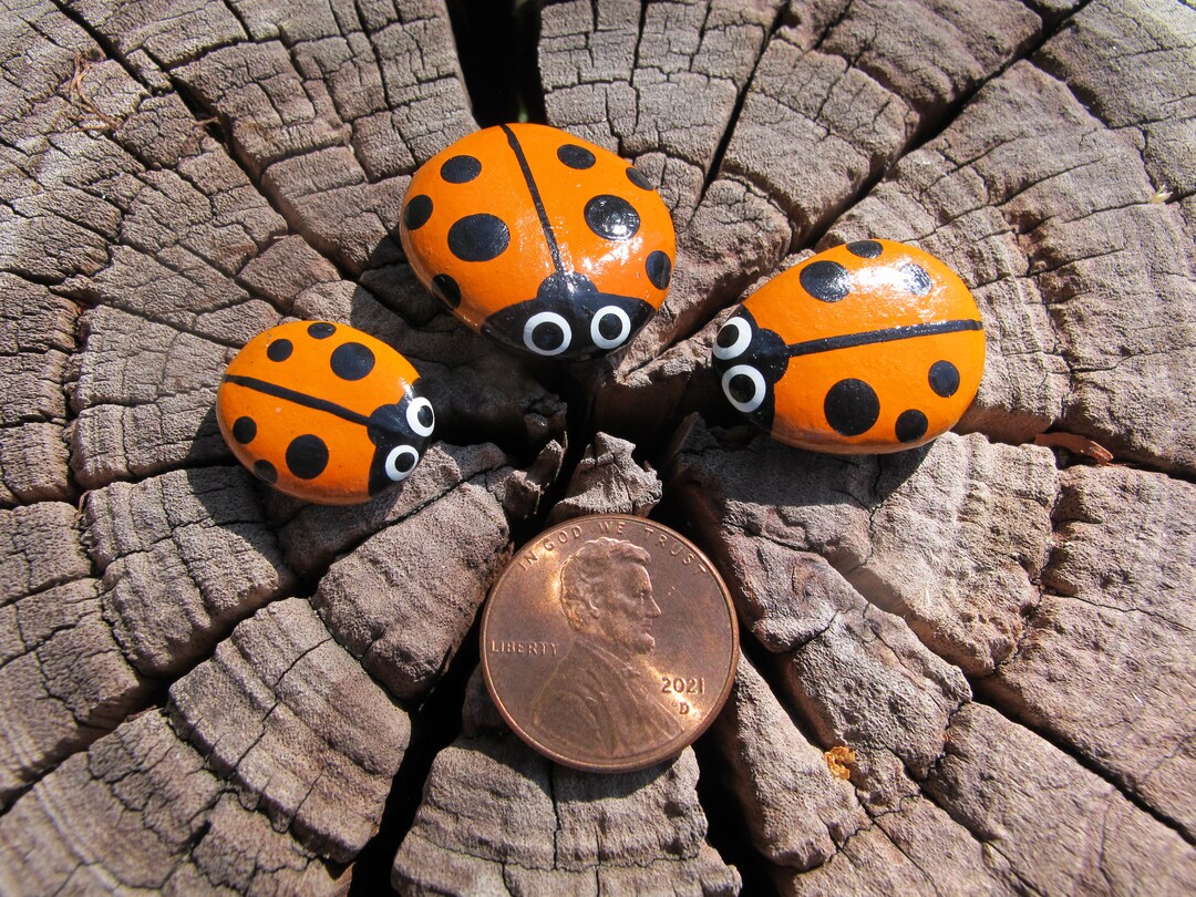 Set of 3 Ladybug Rocks-painted Rocks-pet Rocks-fairy Garden-small Gift ...