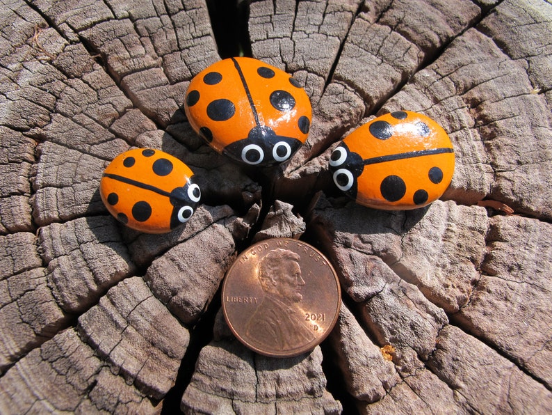 Set of 3 Ladybug Rocks-painted Rocks-pet Rocks-fairy Garden-small Gift ...