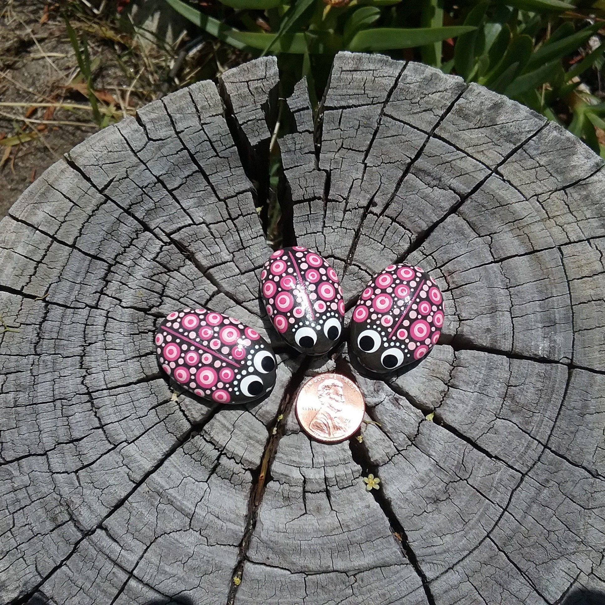 Set of 3 Ladybug Rocks-painted Rocks-pet Rocks-fairy Garden-small Gift ...