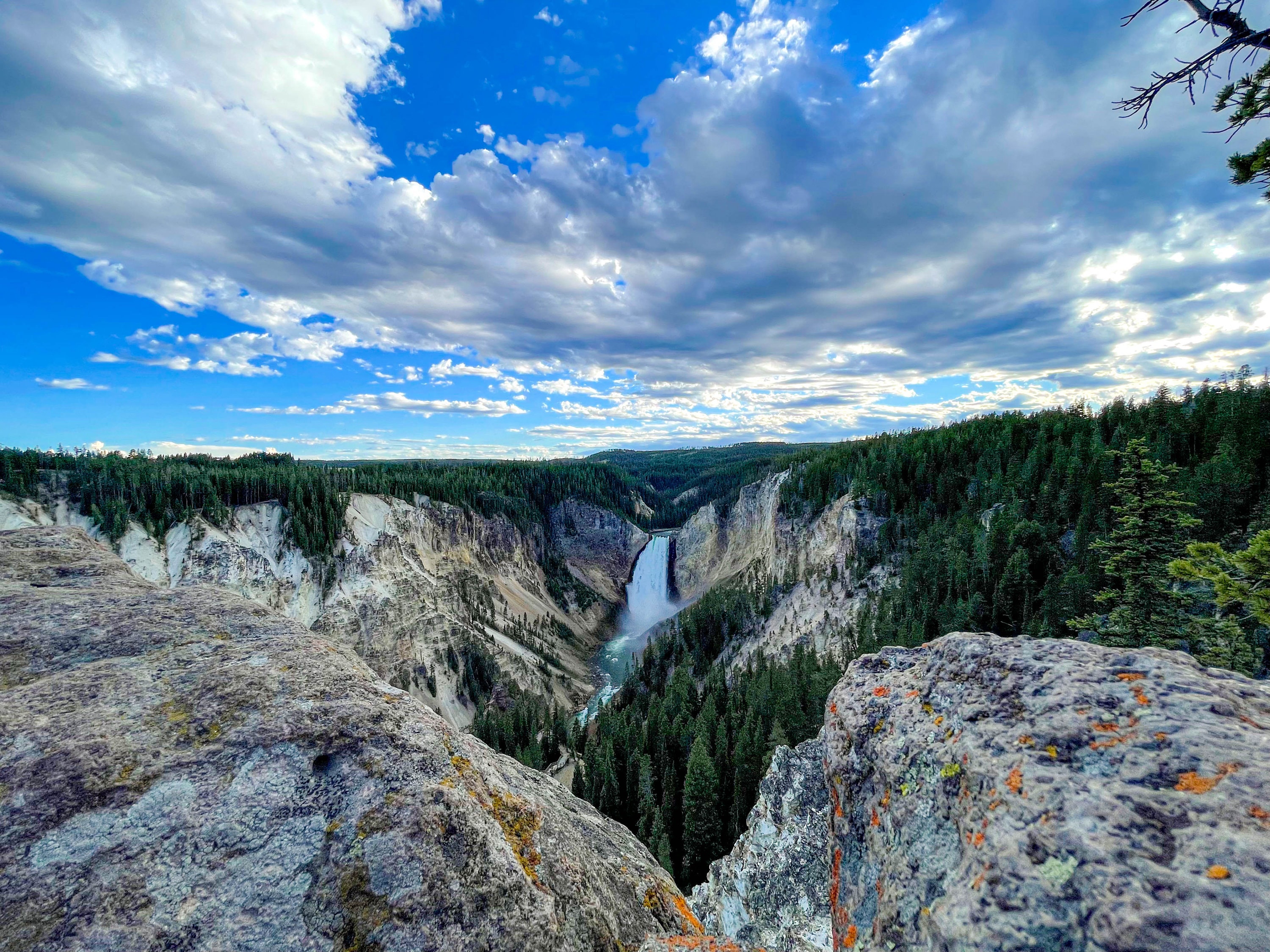 Lower Falls Print, Yellowstone National Park, Waterfall Print, Wall Art ...