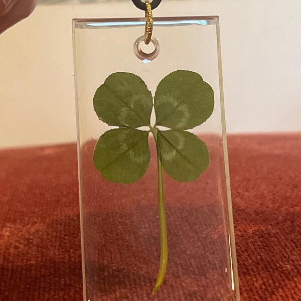 Real 4 Leaf Clover - Etsy