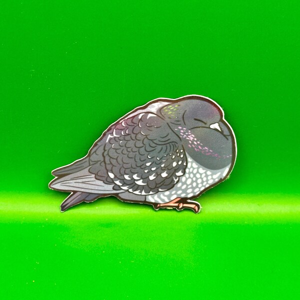Pigeon - Etsy