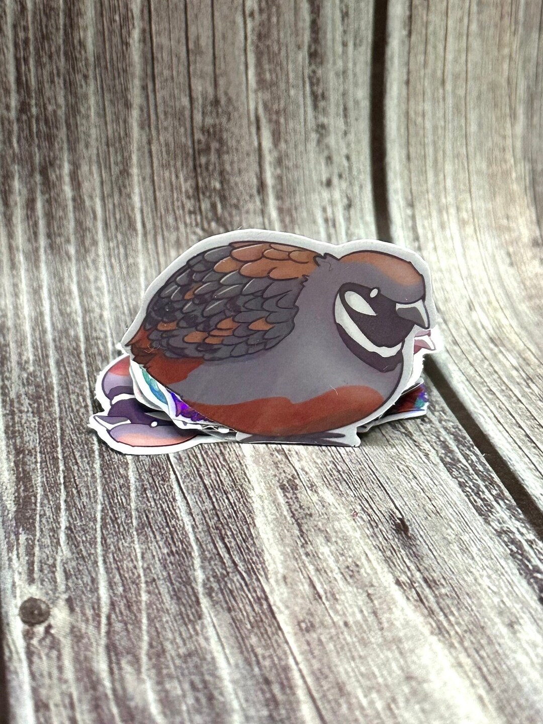 Small King Button Quail King Pearl Sticker - Etsy