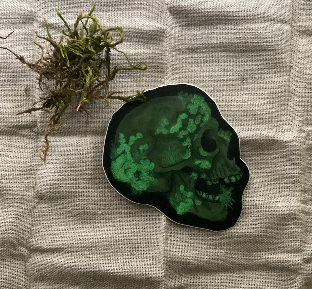 Mossy Skull Collecting Moss Vinyl Sticker - Etsy