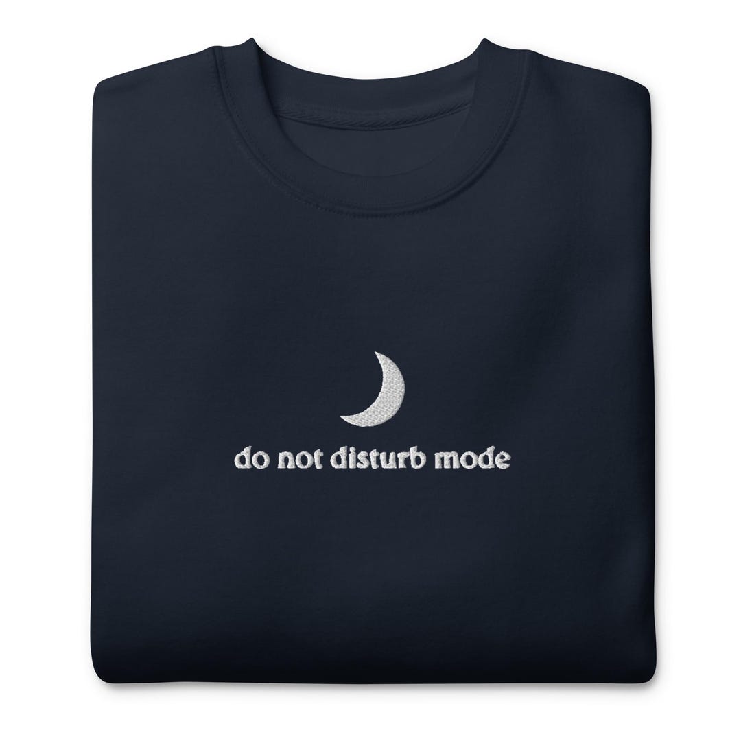 Embroidered Do Not Disturb Sweater, Humor Sweater, Empowering Women's ...