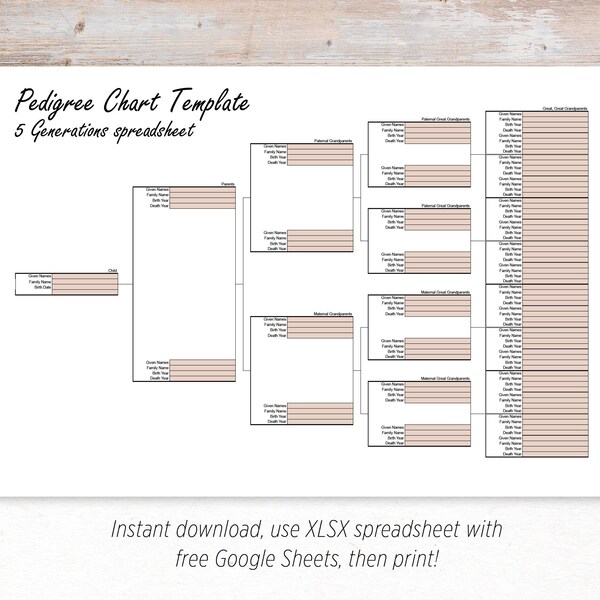 Rabbit Pedigree Chart - Etsy