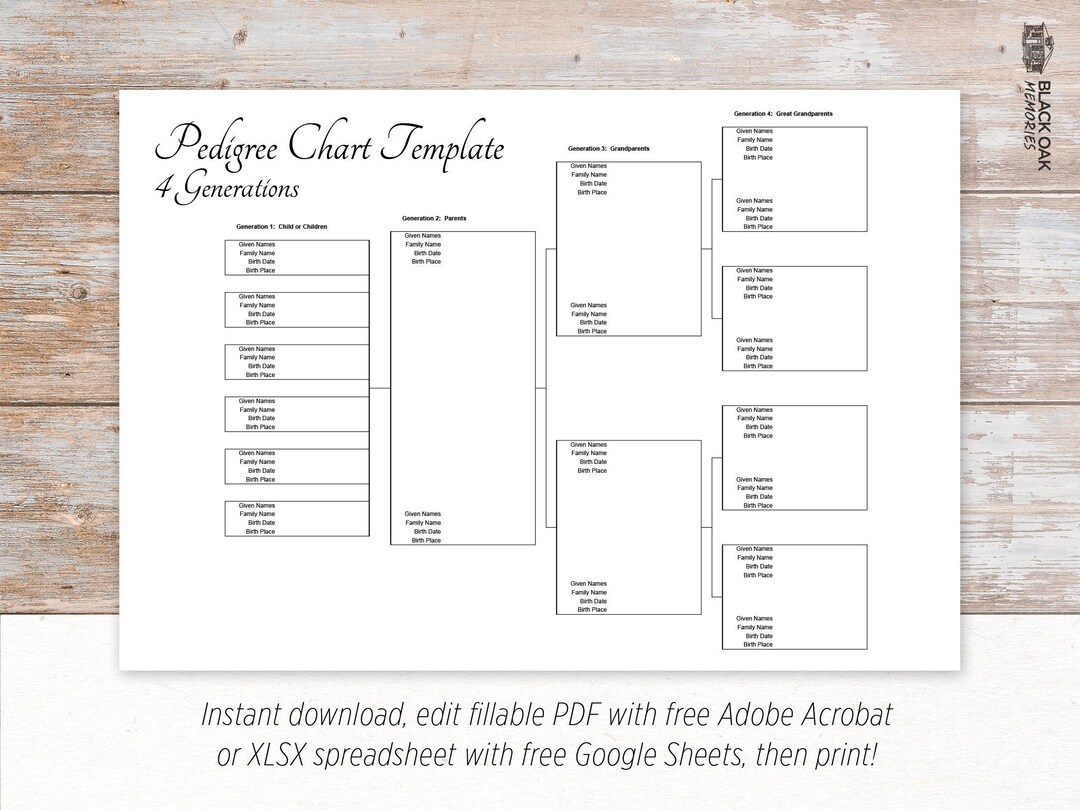 Family Tree Pedigree Chart 4 Generations Digital - Etsy