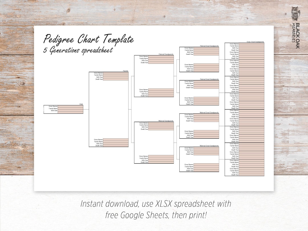 Ancestor Details Pedigree Chart 5 Generations Digital, Printable XLSX ...