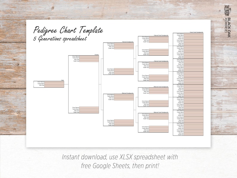 Ancestor Details Pedigree Chart 5 Generations Digital, Printable XLSX ...