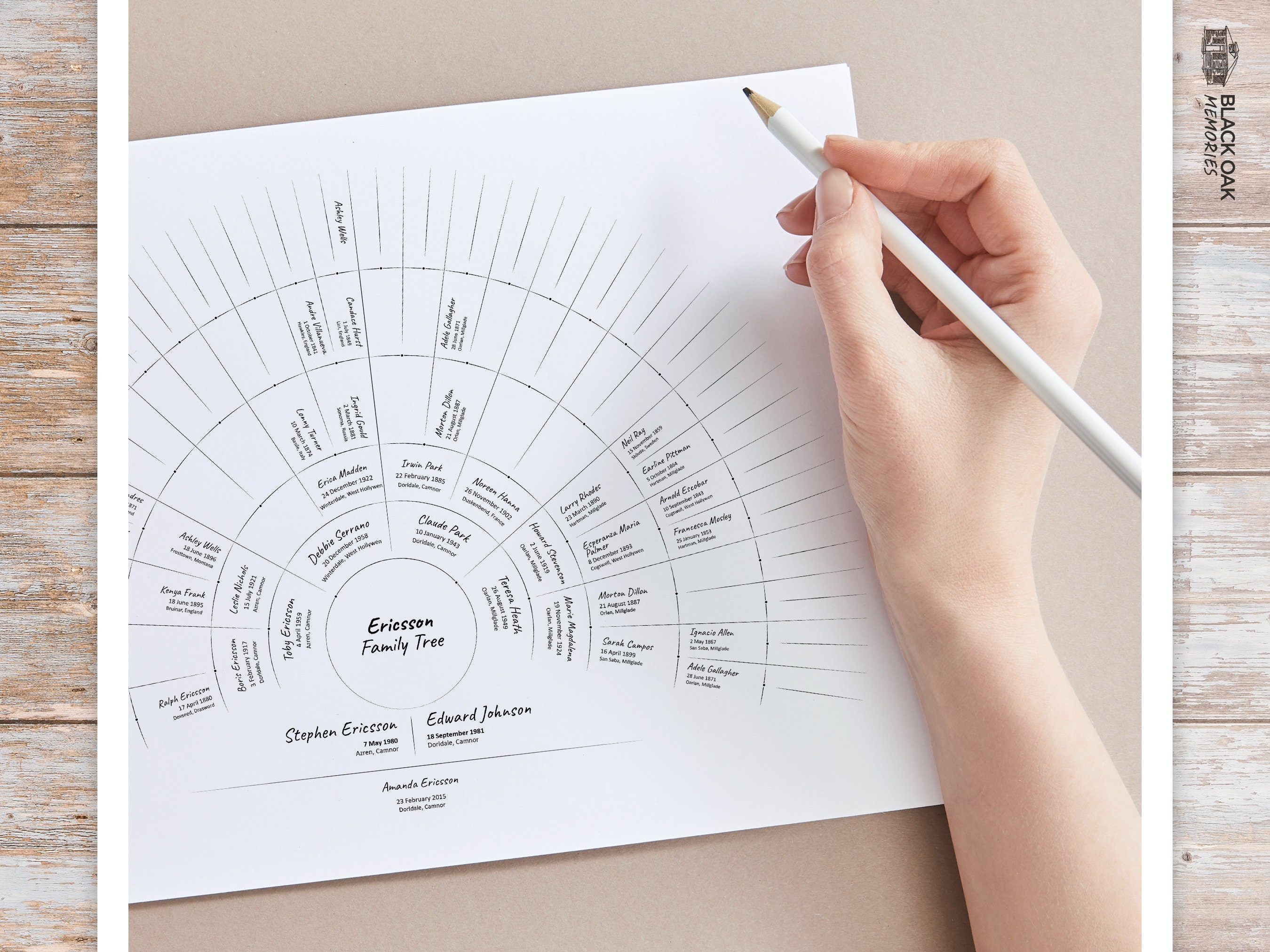 Family Tree Fan Template 7 Generations Digital, Printable Family Tree ...