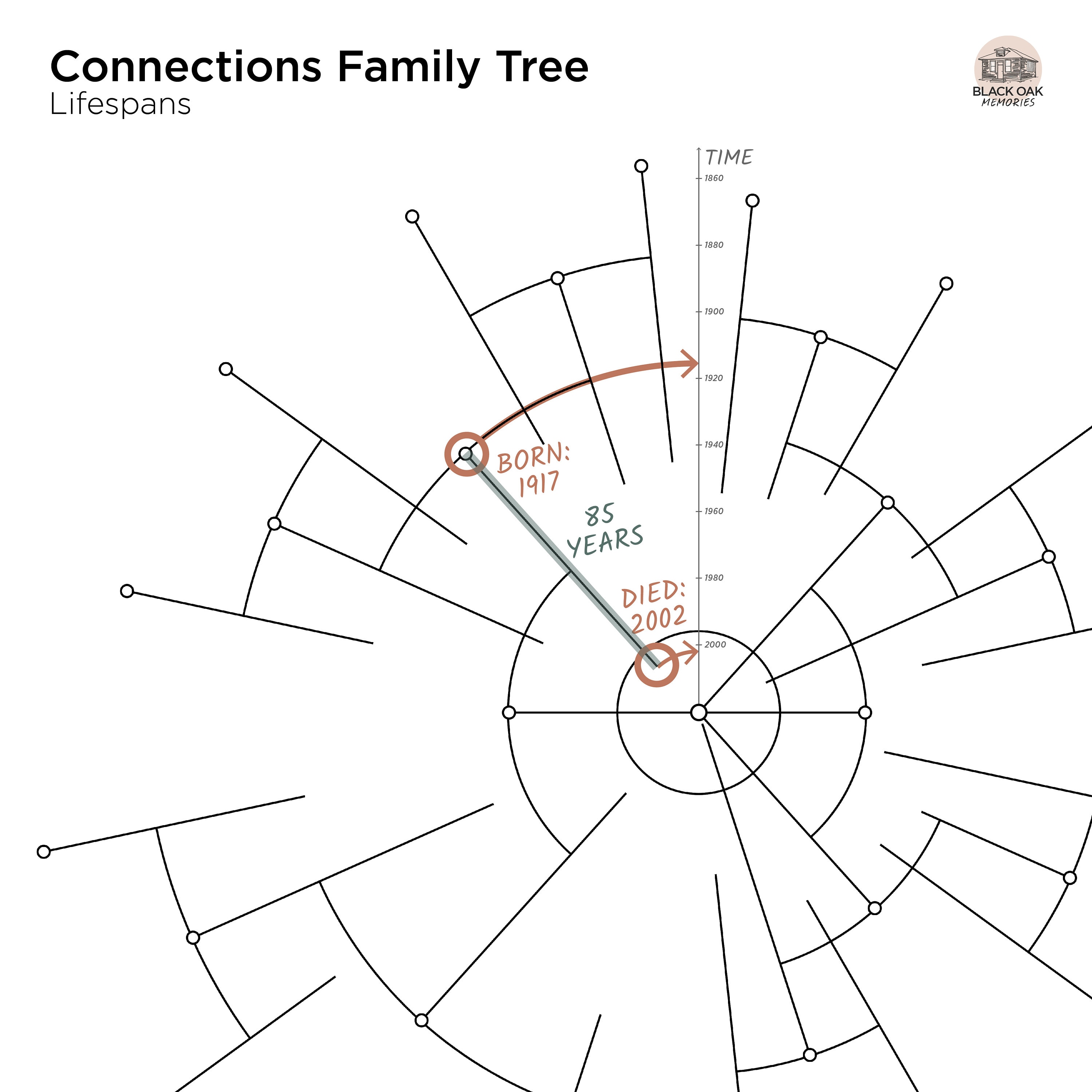 Connections Family Tree Custom 5 Generations Family Tree Wall Art - Etsy