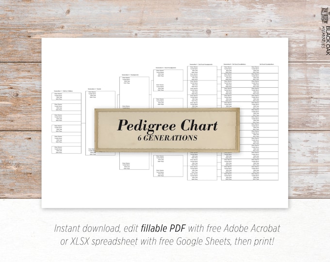 Family Group Chart - Digital, Printable, Fillable PDF and XLSX ...