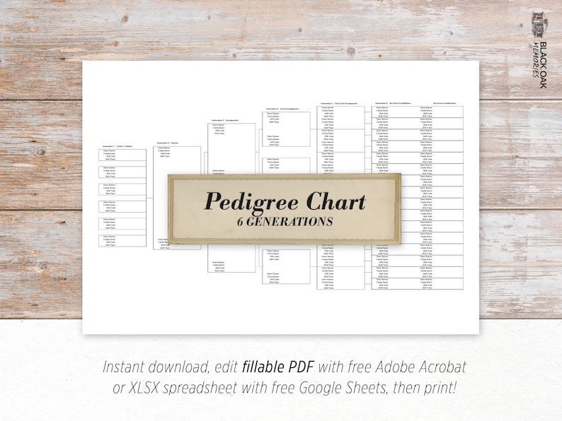 Family Tree Pedigree Chart - 6 Generations - Digital, Printable ...
