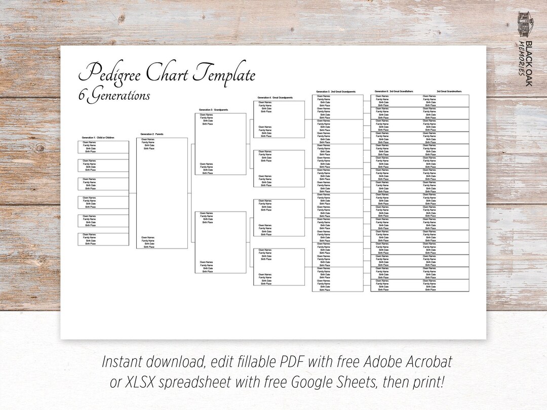 Family Tree Pedigree Chart 6 Generations Digital - Etsy