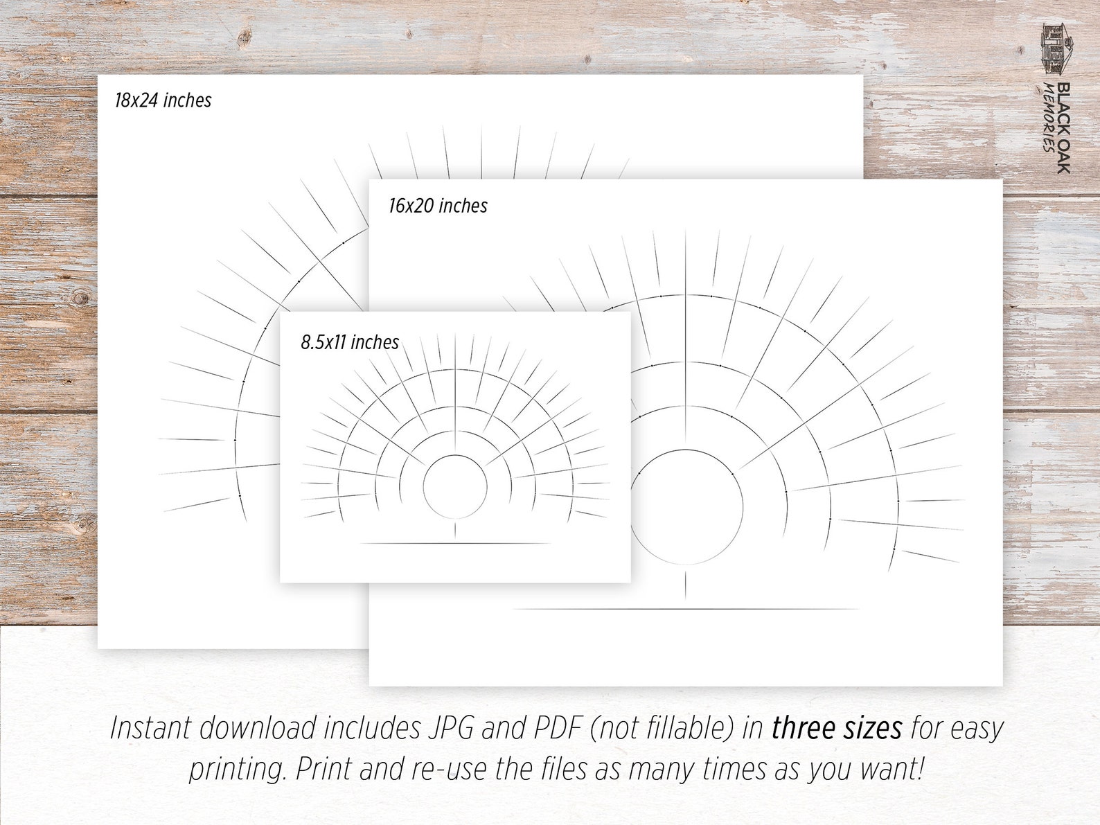 Family Tree Fan Template - 6 Generations - Digital, Printable Family ...