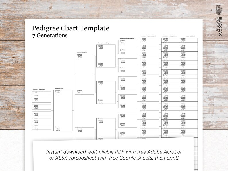 Family Tree Pedigree Chart 7 Generations Digital - Etsy