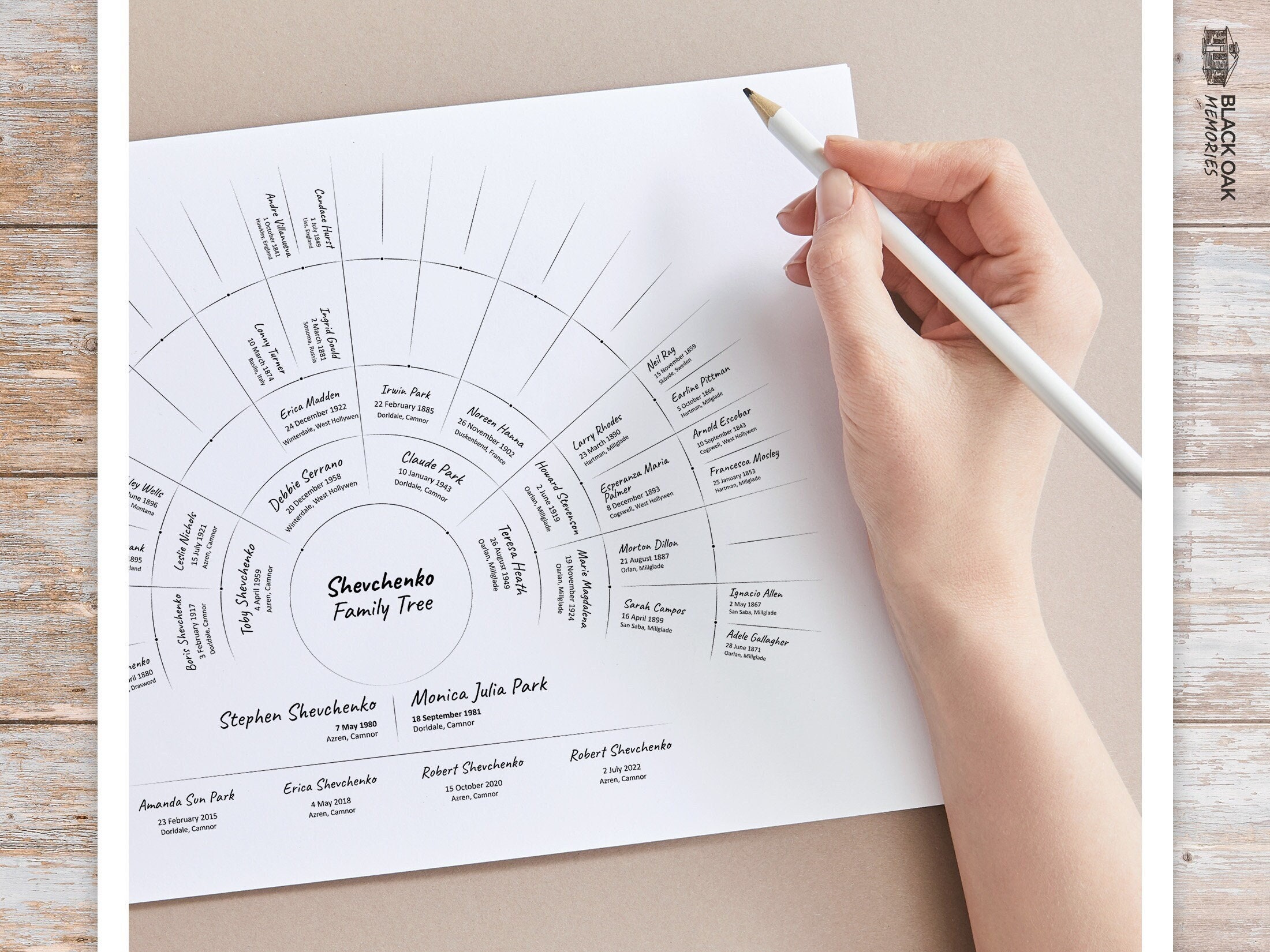 Family Tree Fan Template - 6 Generations - Digital, Printable Family ...