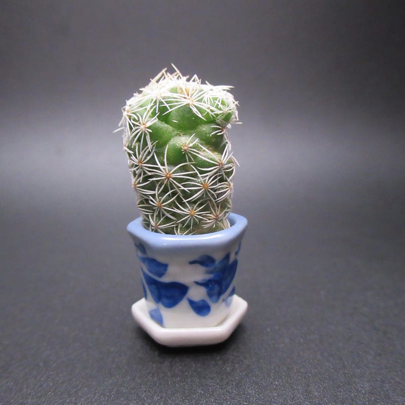 Easter Ceramic Plant Pot - Etsy
