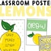 Lemon Classroom Posters | Lemon Classroom Decor - Etsy