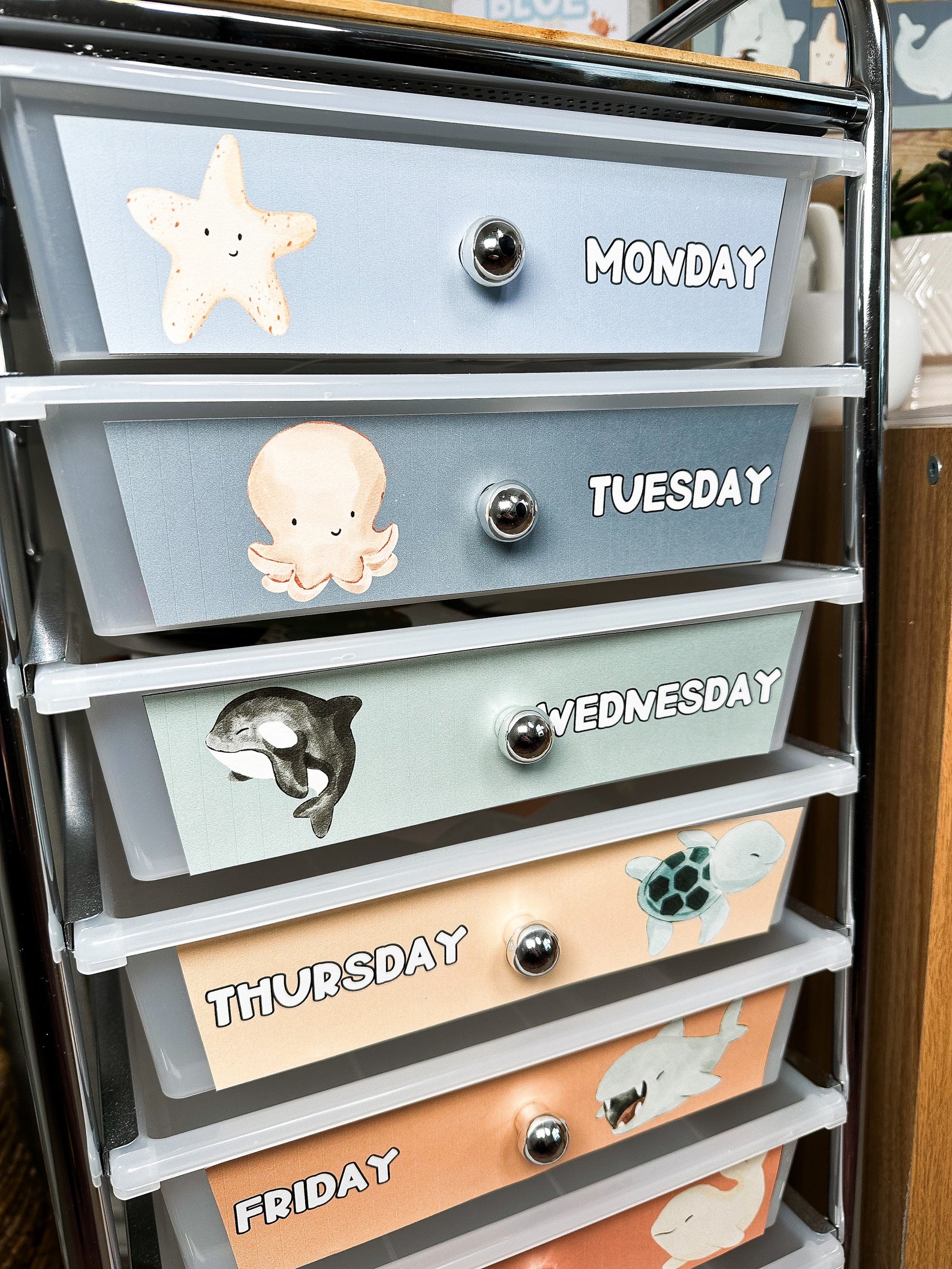 Neutral Ocean Classroom Decor | EDITABLE | Modern Ocean Classroom Decor ...