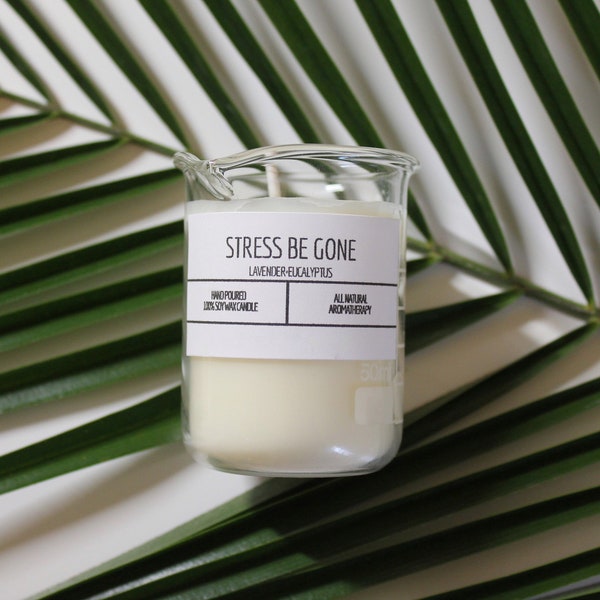 Chemistry Beaker - Etsy